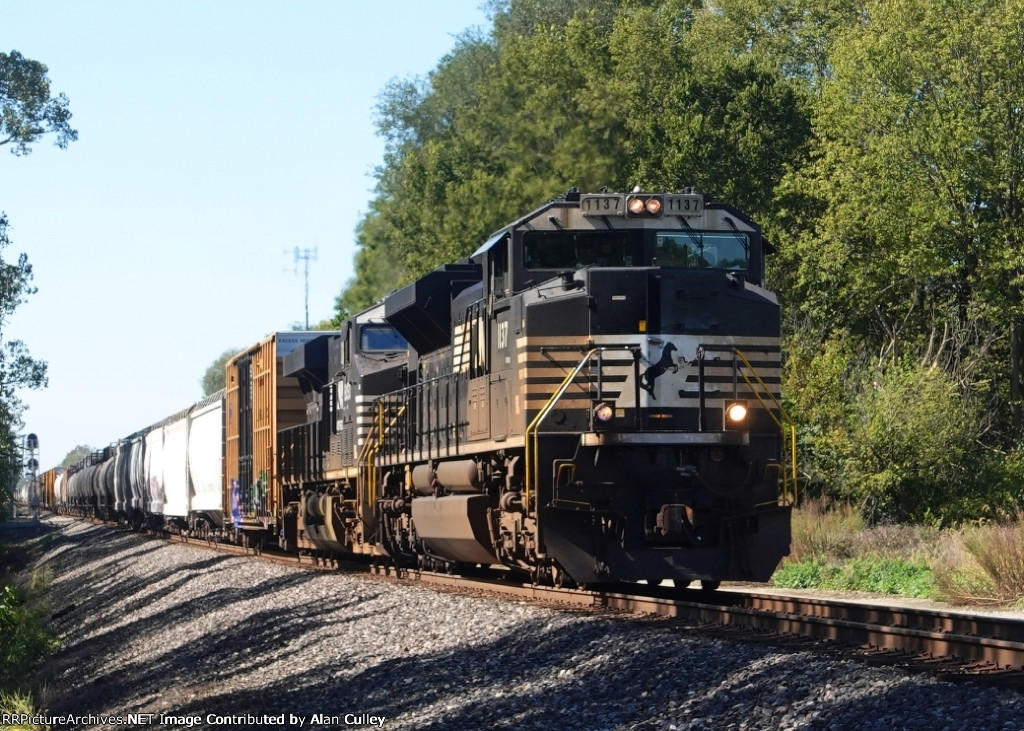 NS 1137-36N